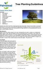 Multi-stem trees | Palmstead Nurseries