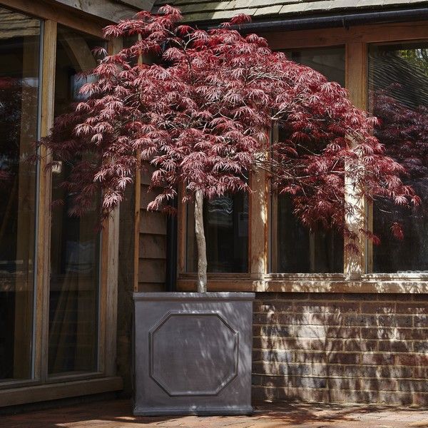 Clayfibre Chelsea box, trough & cylinder garden planters | Round Wood ...