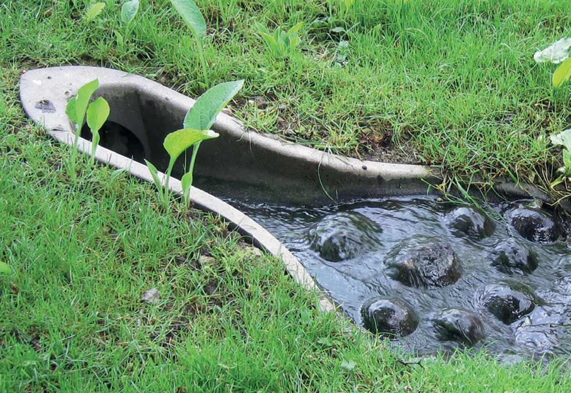 Sustainable drainage system - M5 Gloucester Gateway | Images