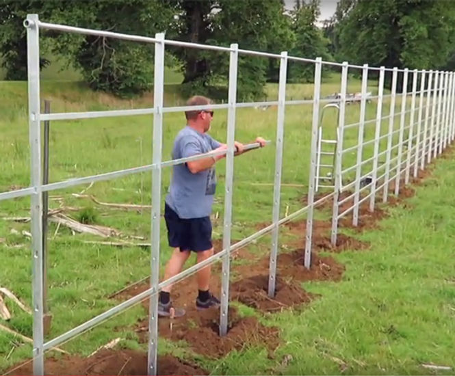 Deer fencing and tree guards for historic country estate | Paddock Fencing