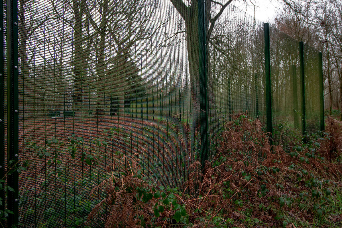 Secure fencing and gates protect forest research sites | Images