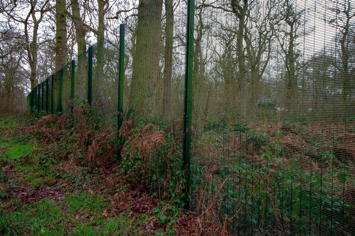 Secure fencing and gates protect forest research sites | Images