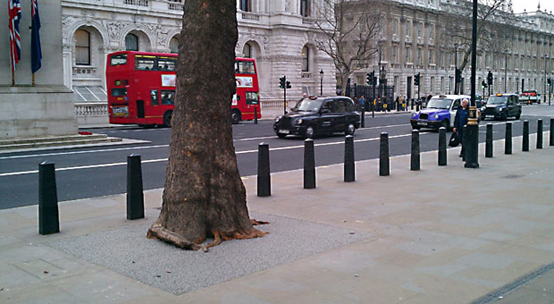Addastone TP - porous resin bound tree pit surfacing system | Images