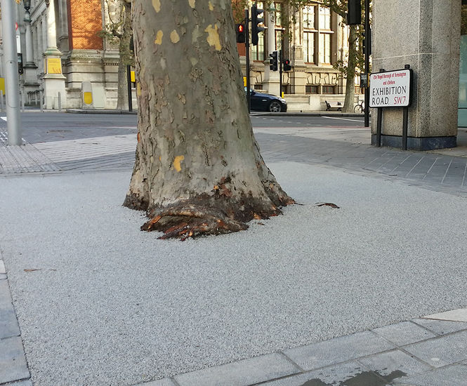 Redevelopment of Exhibition Road tree pits | Addagrip Terraco