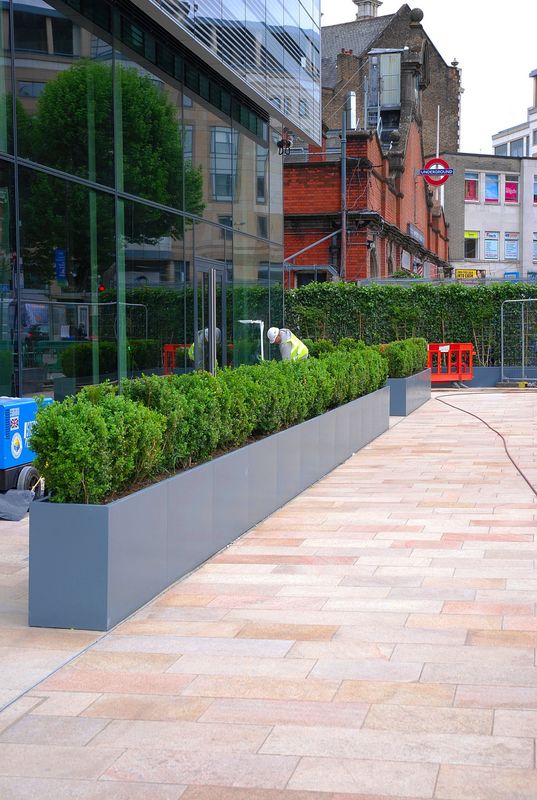 Images for Bespoke steel street planters, 10 Hammersmith Grove