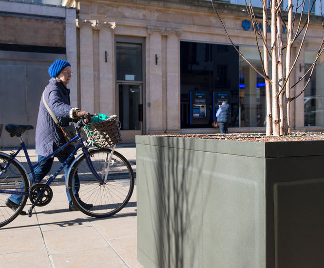 Bespoke steel tree planters | IOTA