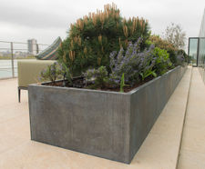 Bespoke zinc planters | IOTA