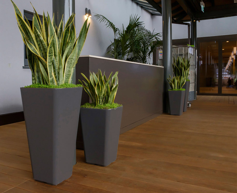 Planters for Royal Opera House restaurant terrace | Images