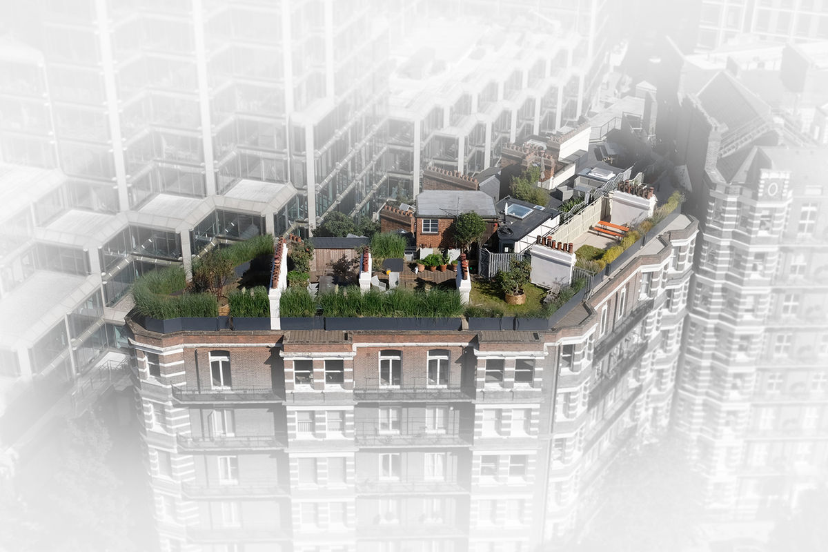 Images for Planters for residents' group roof terrace - Westminster