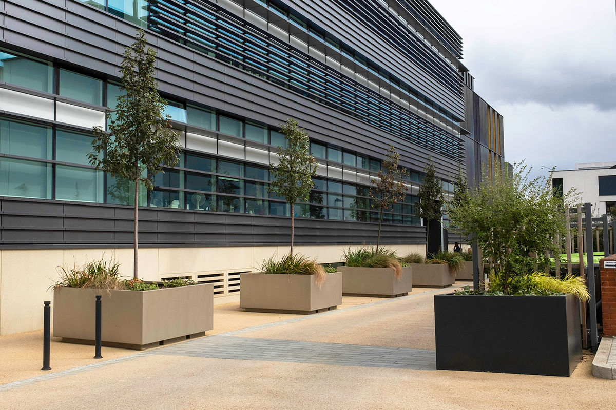 Shrub and tree planters - Big Data Institute, Oxford | Images