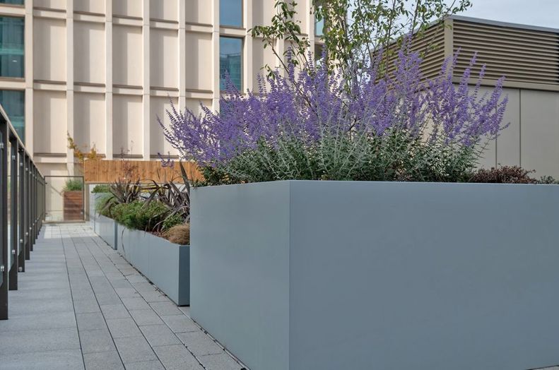 Bespoke large-scale steel planters for new development | IOTA | ESI ...