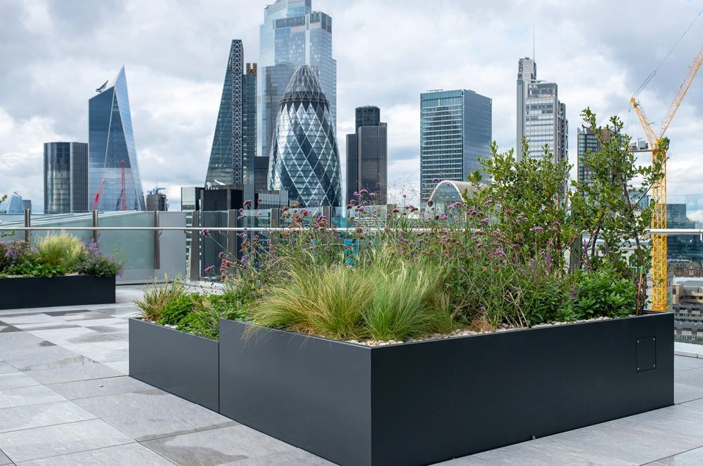 Images for Large bespoke planters for office terraces, London EC1