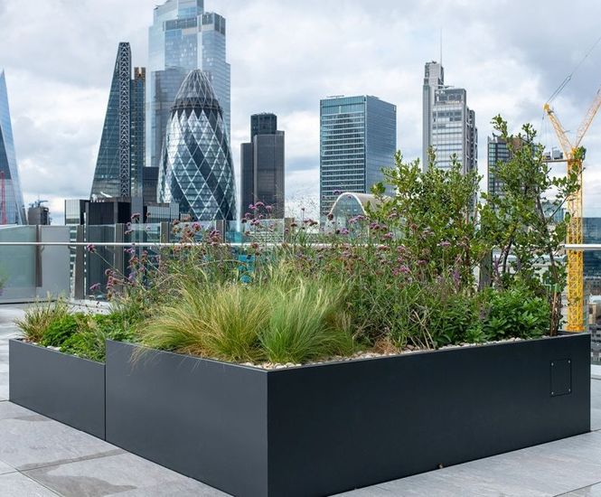 Large bespoke planters for office terraces, London EC1 | IOTA