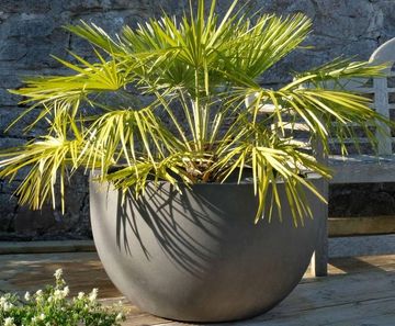 GRP patio planters | EXTERNAL WORKS