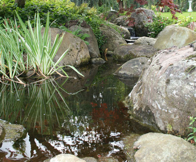 Watercourse design and construction services | Splash Gordon