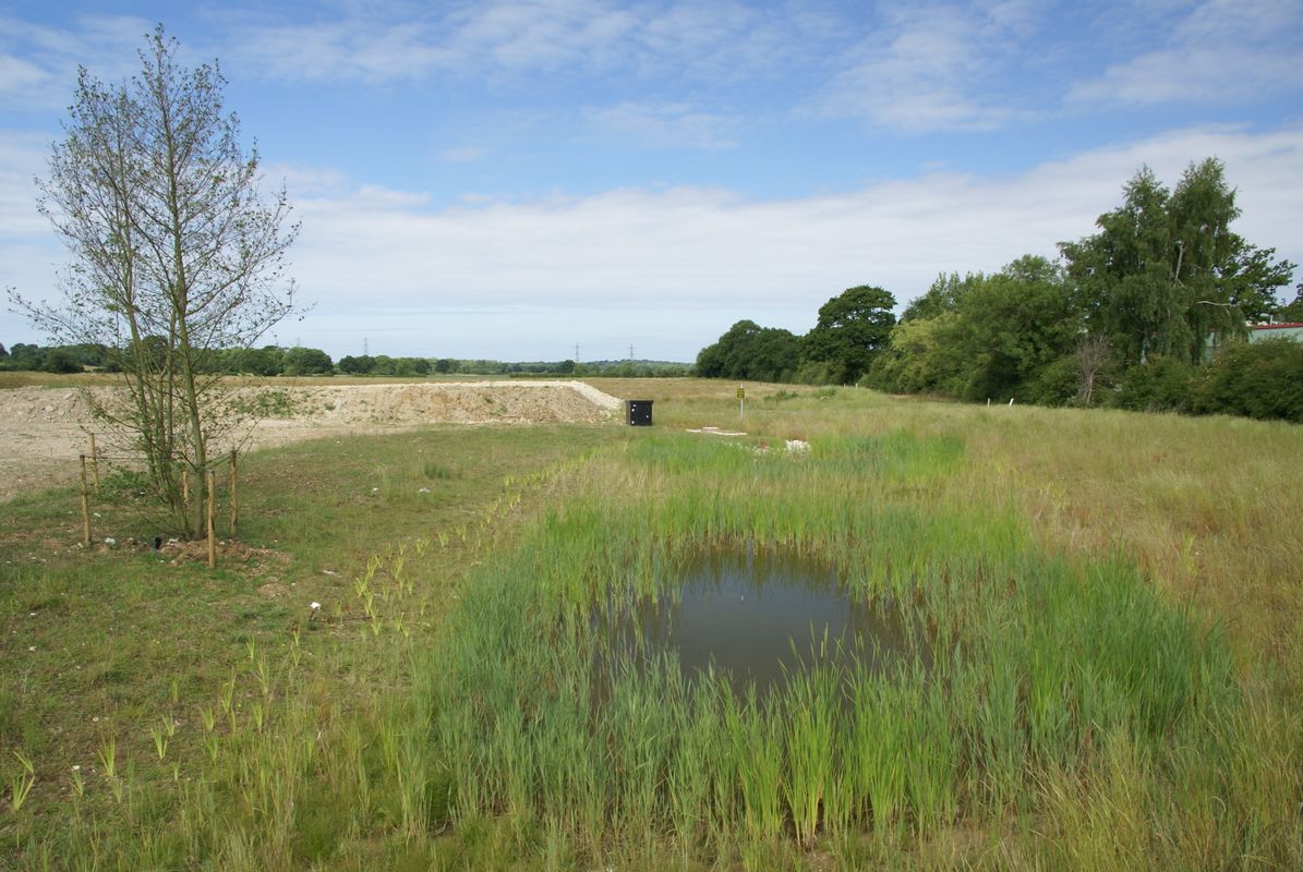 SuDS flood protection for residential development | Images