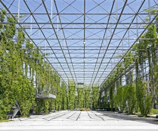 Commercial green wall systems | MMA Architectural Systems