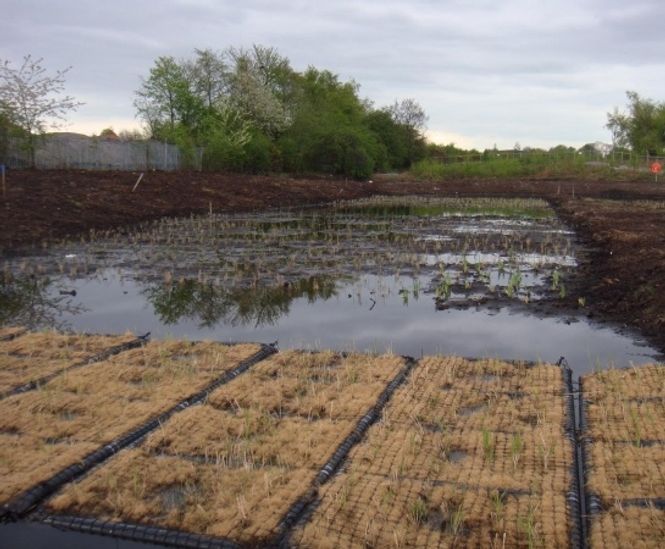 SuDS and flood management using aquatic plants | Aqualife Water Plants ...