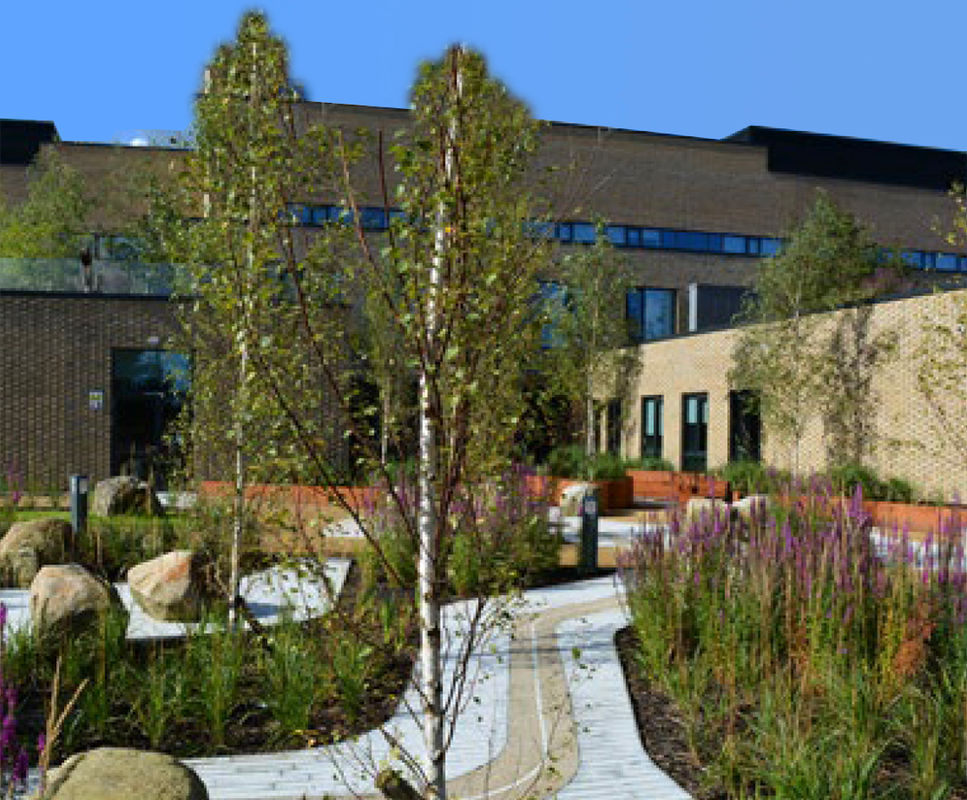 Fort - roll-topped steel edging for hard landscapes | Images