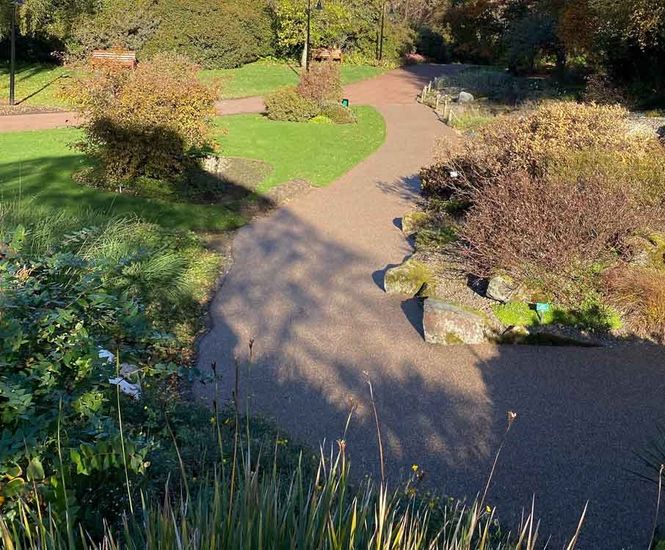 Resin bound surfacing for pathways at Royal Botanic Garden | Addagrip ...