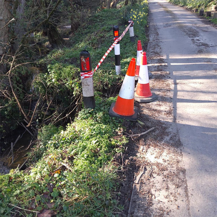 Images for Flex MSE vegetated wall system for award-winning project