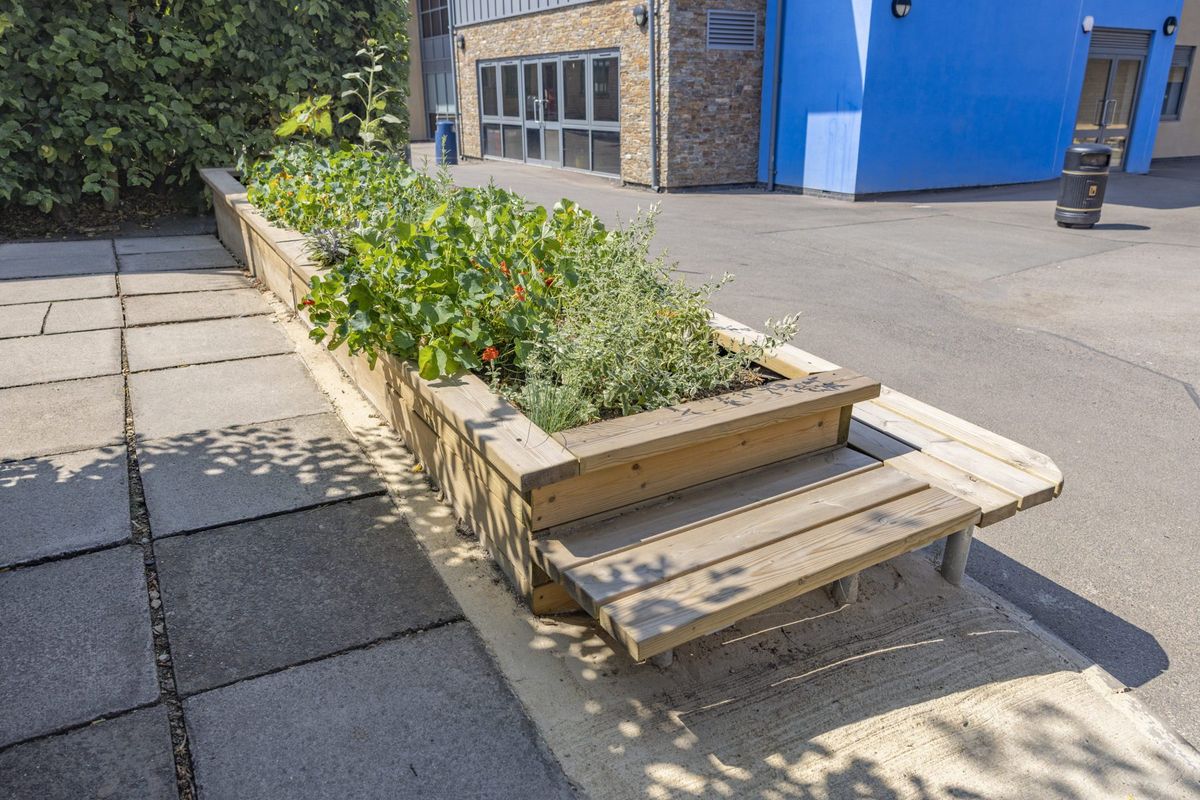 Timber outdoor seating, planters and litter bins for school | Images