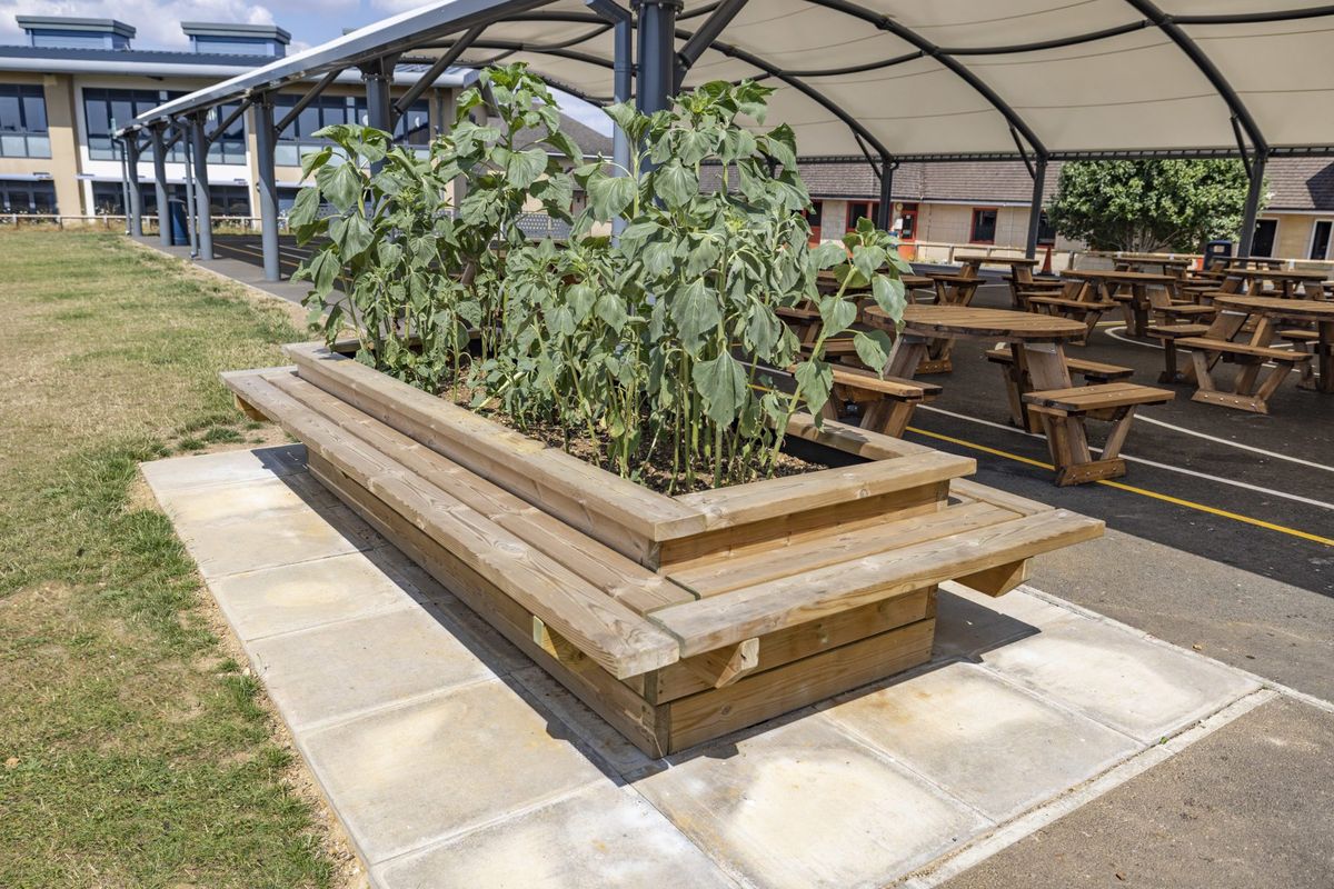 Timber outdoor seating, planters and litter bins for school | Images