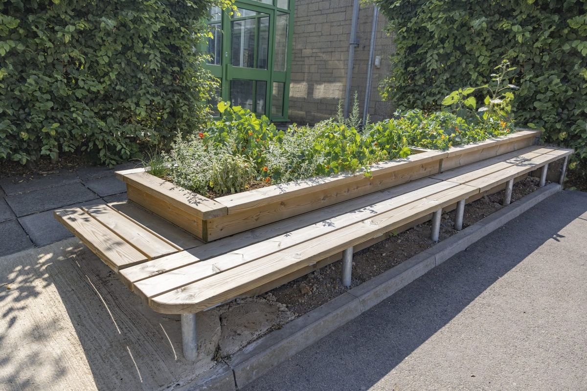 Timber outdoor seating, planters and litter bins for school | Images