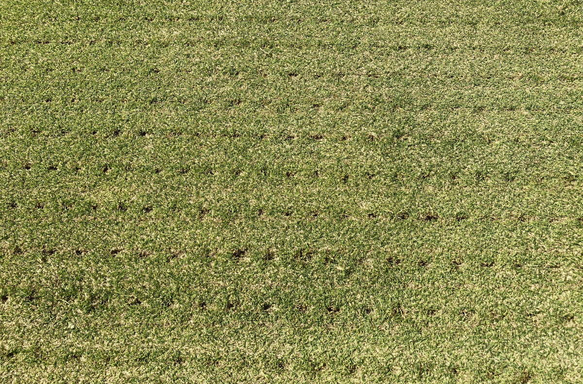 Images for Summer overseeding with ForeFront Greens - Little Aston Golf ...