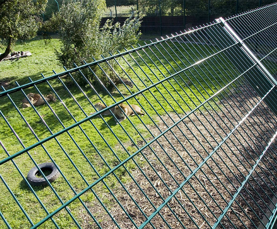 Lion enclosure fencing for Folly Farm Zoo, Wales | Images