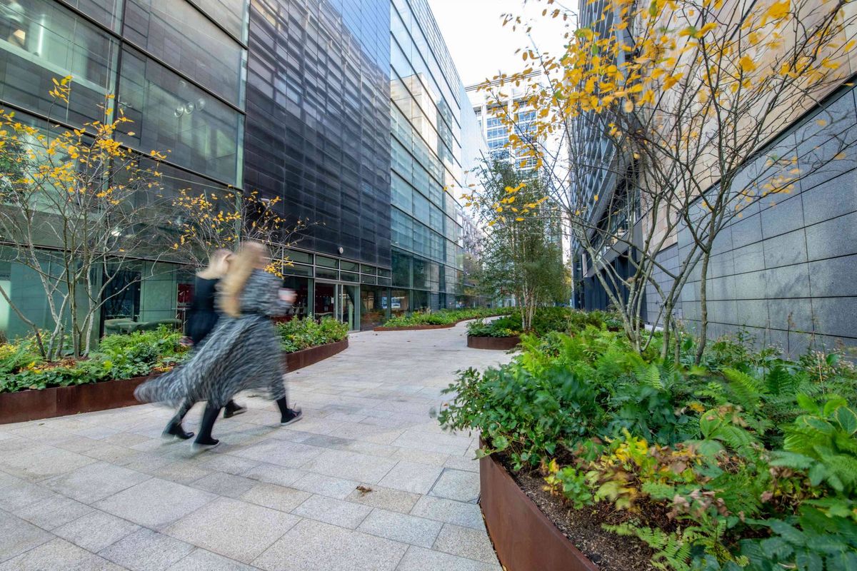 Design & installation of new irrigation system at Triton Square | Images