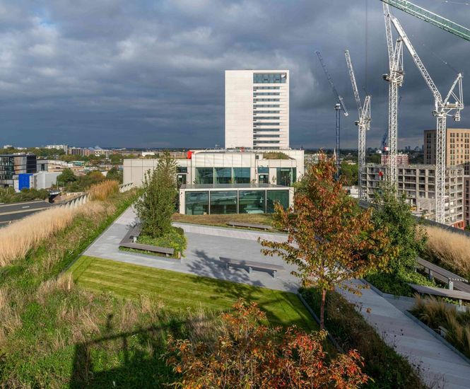 Roof & podium landscape irrigation system for Kings Cross T-zone ...