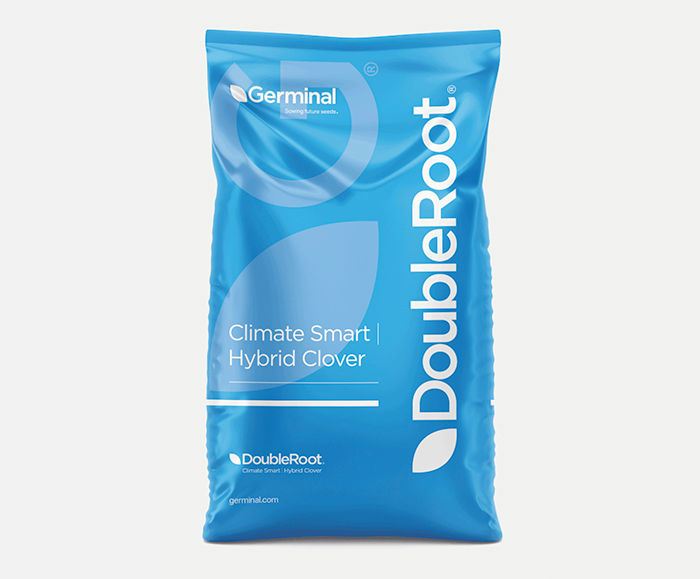 DoubleRoot climate-smart clover for amenity spaces | Germinal Amenity ...
