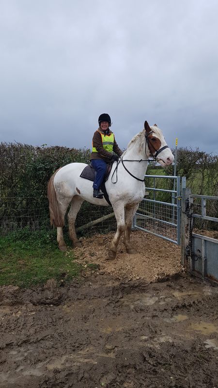 Steel Bridleway gates | Images