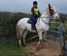 Steel Bridleway gates | Secure-a-Field