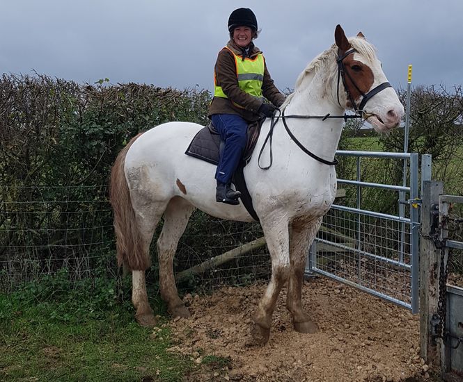 Steel Bridleway gates | Secure-a-Field