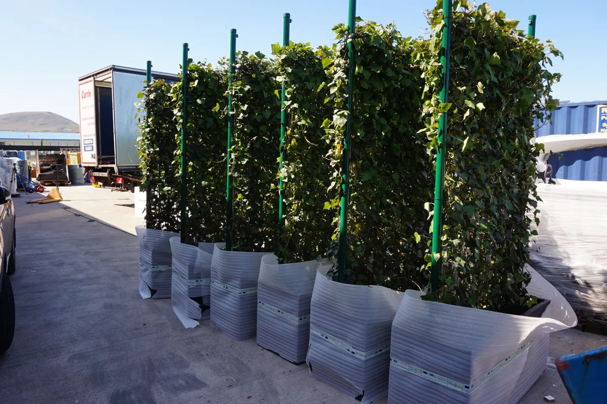 Bespoke mobile barrier planter with screening hedge | Images
