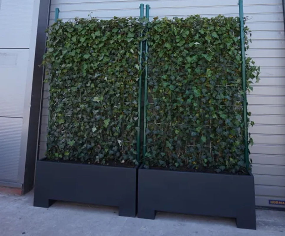 Images for Bespoke mobile barrier planter with screening hedge