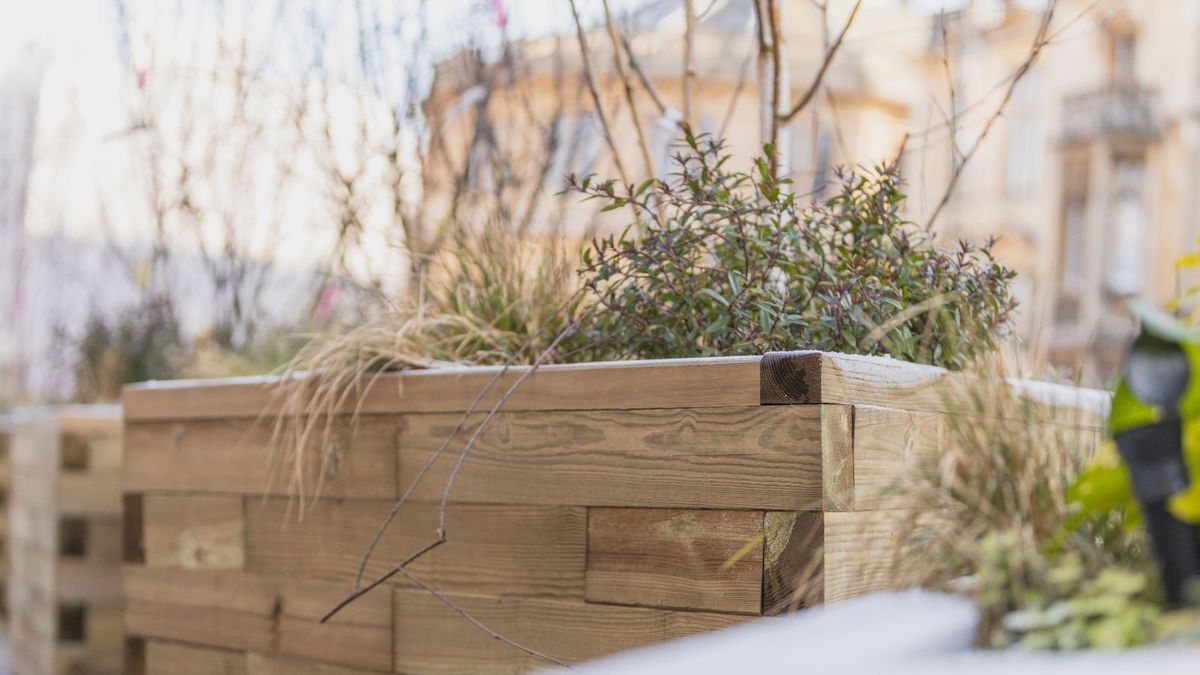 Images for Creating an urban park with moveable planters in Oxford