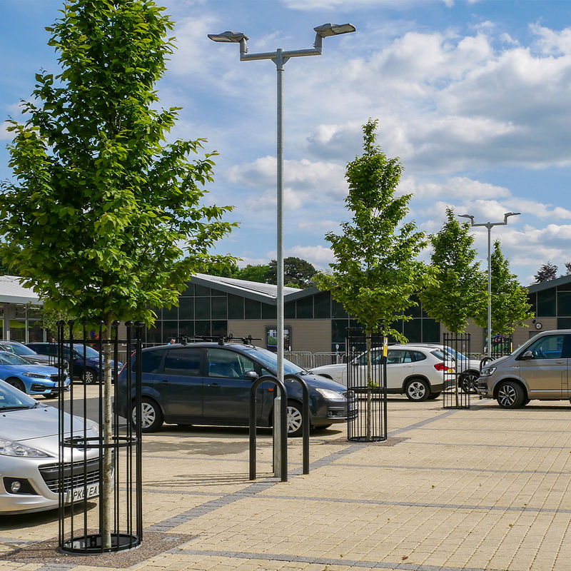 RootDirector root protection system | Images