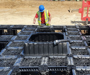 Tree root protection | EXTERNAL WORKS