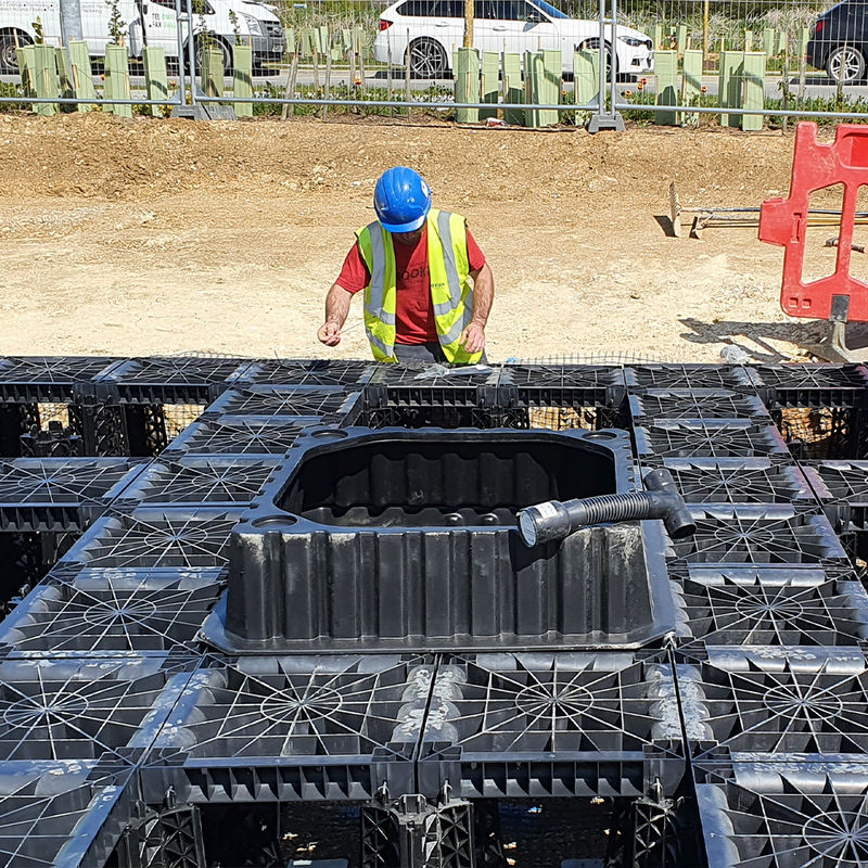 RootDirector root protection system | Images