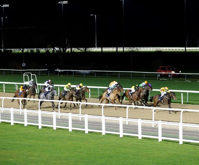 Plastic fencing and crowd barriers - Southwell Racecourse | Duralock