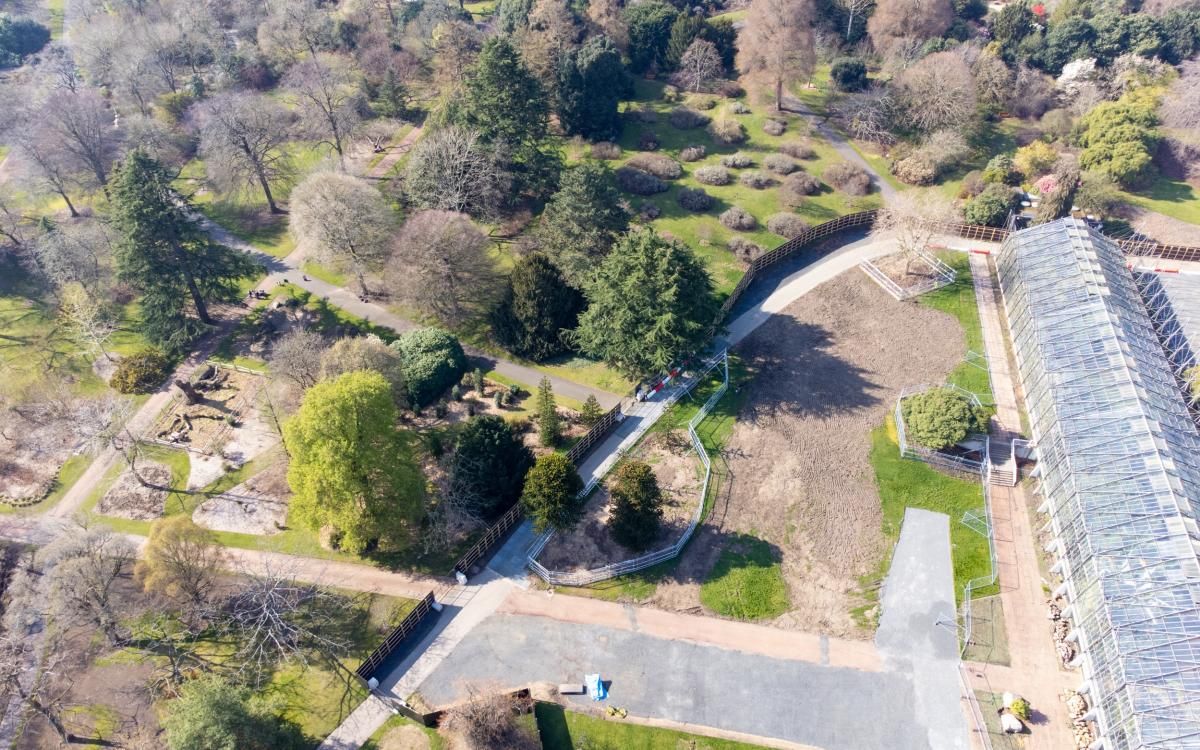 Tree root protection on access road at Royal Botanic Gardens | Images