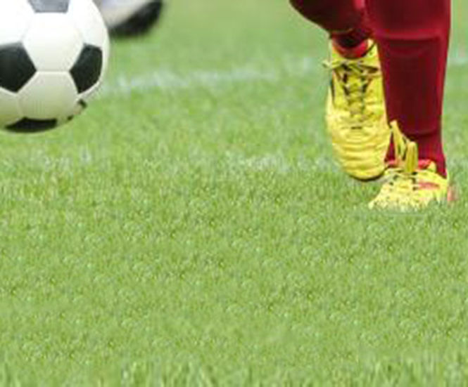 MM Universal Sport - seed mix for sports pitches and amenities | DLF Seeds