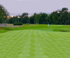 Golf course grass seed mixtures | EXTERNAL WORKS