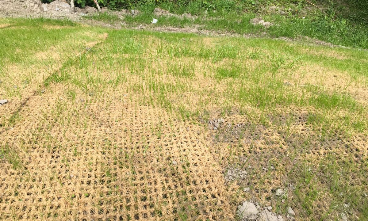 Images for CoirMesh™ coir coconut erosion control mesh blankets