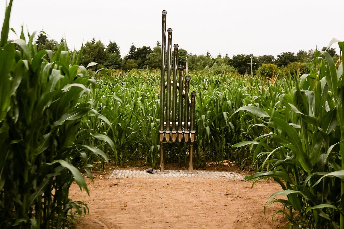 Images for Outdoor musical instruments for award-winning York Maze