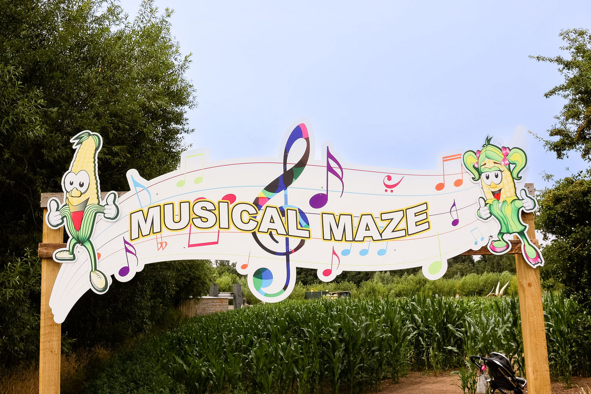 Images for Outdoor musical instruments for award-winning York Maze