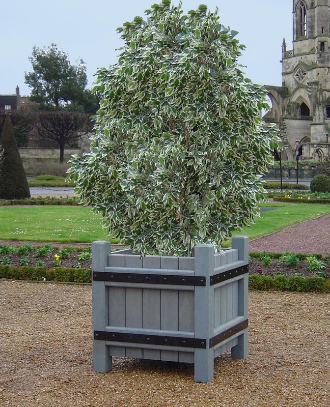 Images for Versaille Tree Planter